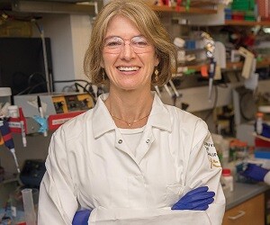 Jennifer Doudna Height, Weight, Religion, Net Worth, Age, B