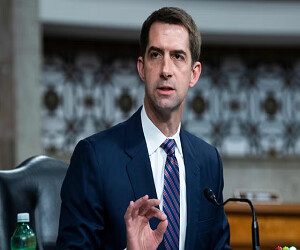 Tom Cotton Height, Weight, Religion, Net Worth, Age, Biogra