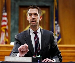 Tom Cotton Height, Weight, Religion, Net Worth, Age, Biogra