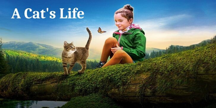 Which A Cat's Life Character Are You? - A Cat's Life Quiz
